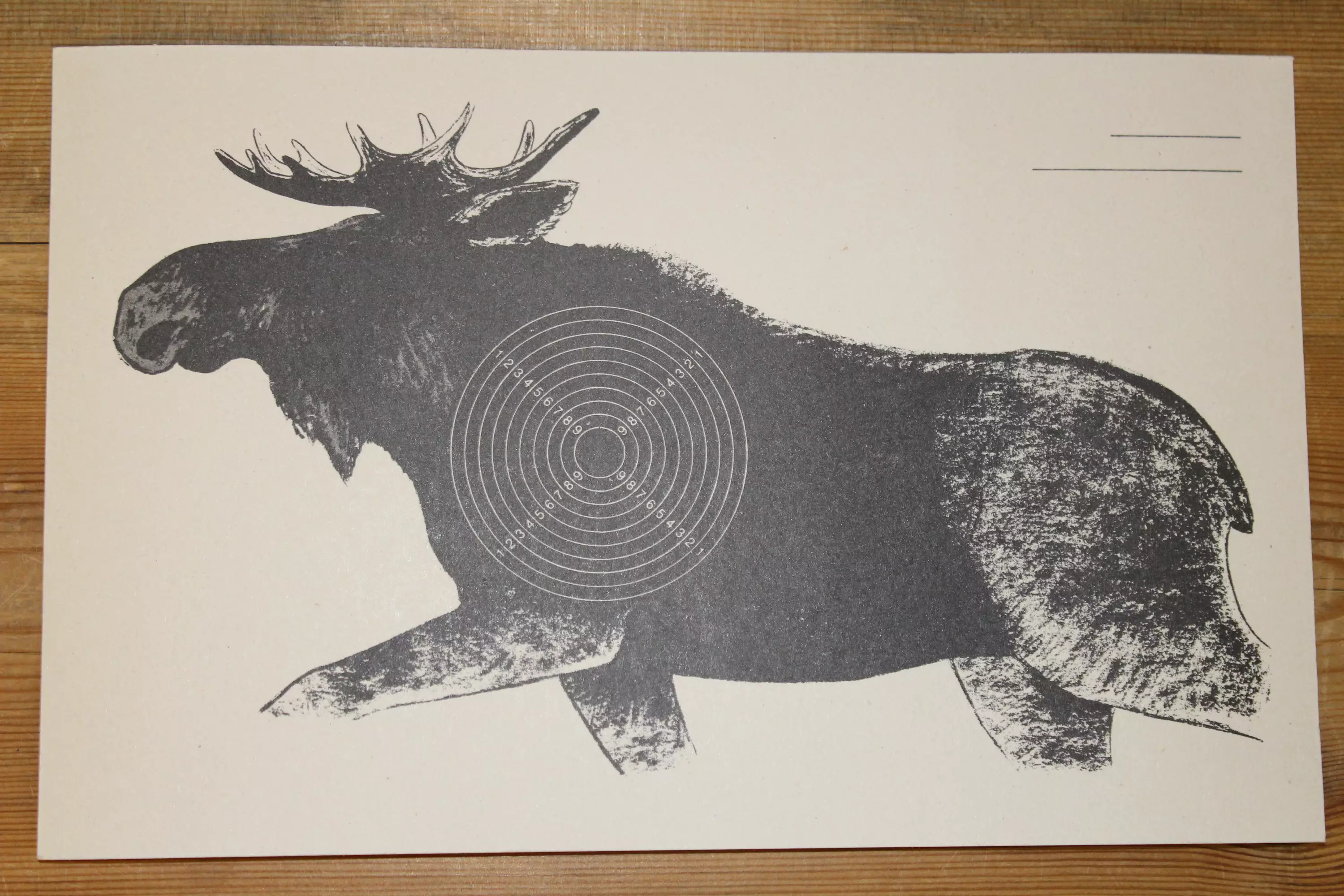 Moose Target air rifle 17,5x27cm, 100pcs - Green Trail Oy webstore